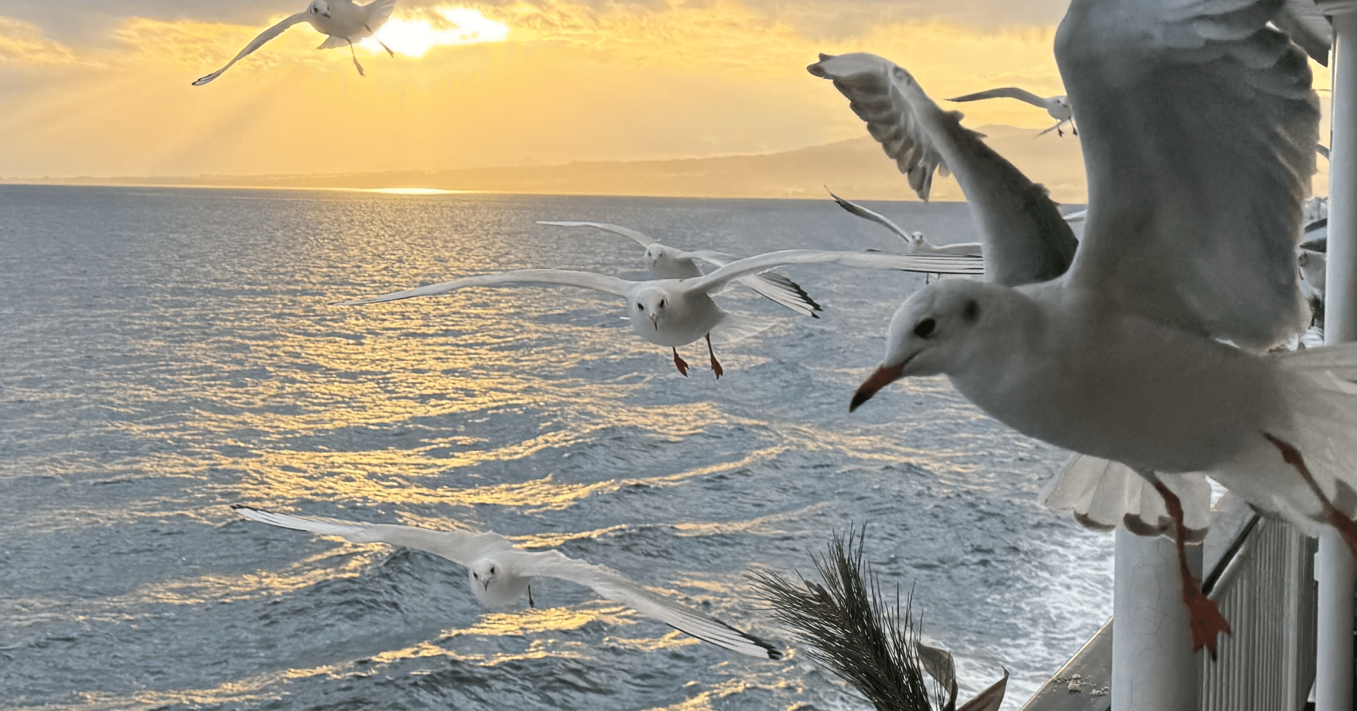 divine spirit｜note