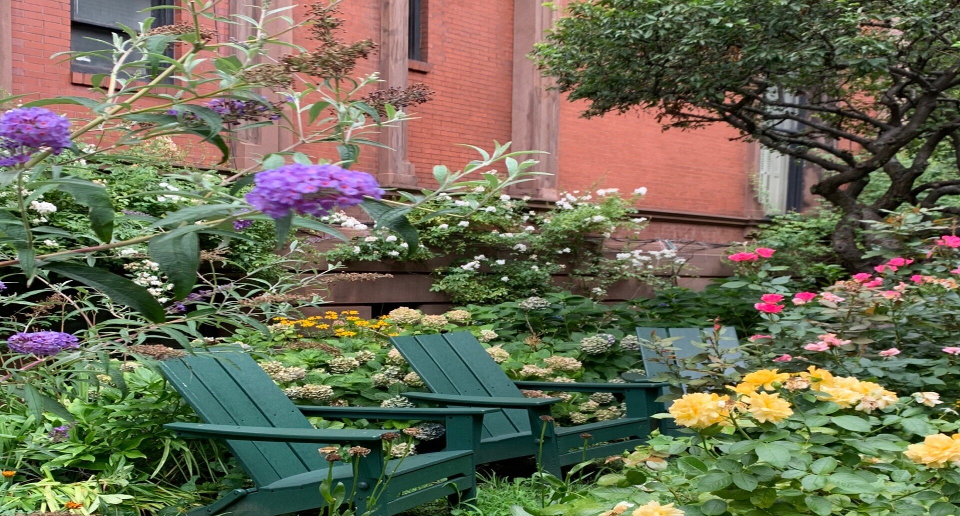 My Diary｜🎈🧸KUMI's NY Bucket List🇺🇸🍎｜note