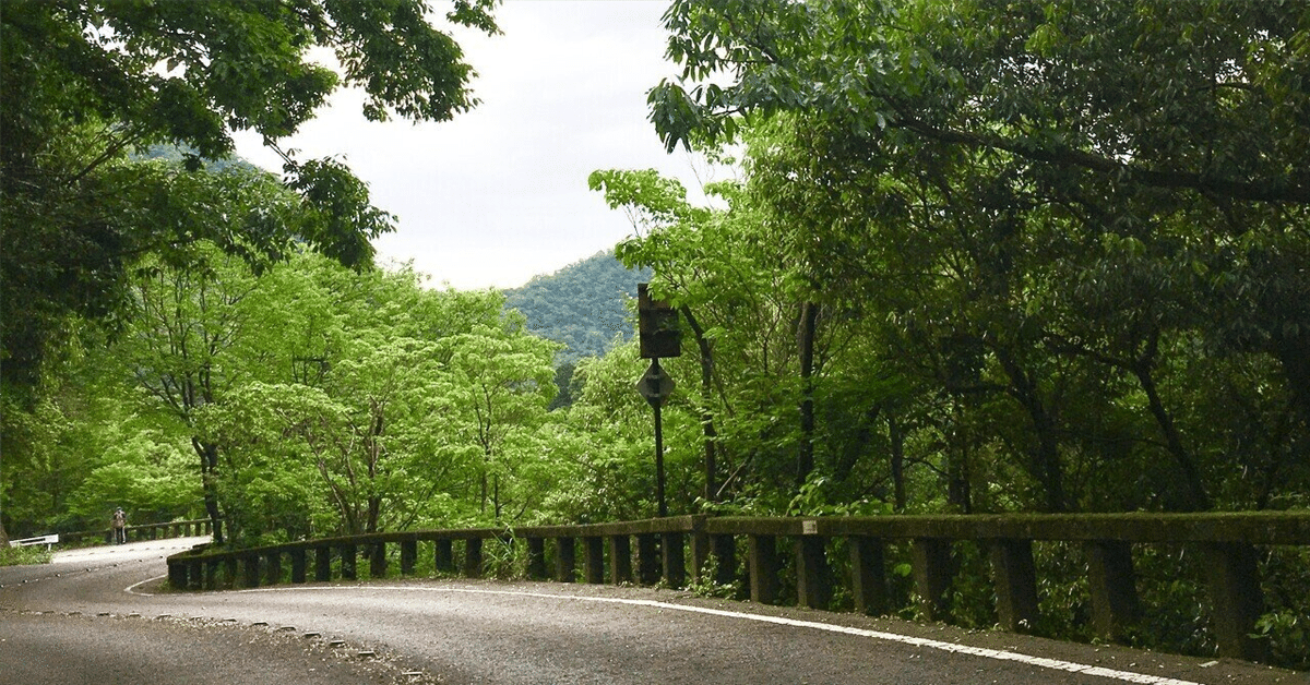 母とスピッツ｜daichi.402