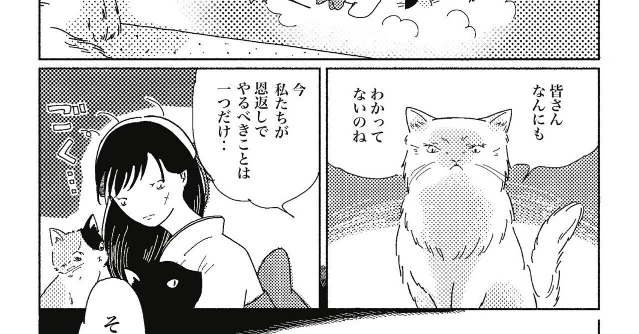 【漫画】猫の日の猫まんが！ 「（現代版）猫の恩返し」｜usami_kamo
