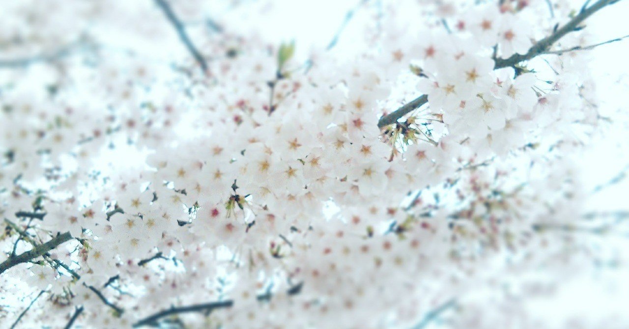 今年やりたいコト｜Dialogue With Mary @shinya-hirose｜note