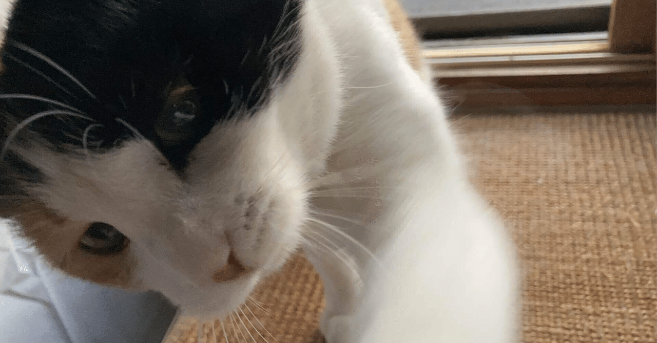 愛すべきマクロスの「歌」の世界vol.1｜Moosan