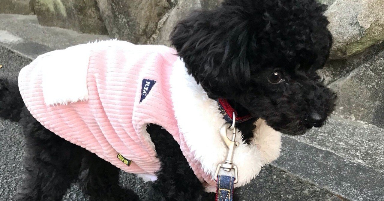 空が暗くなるのがだんだん遅くなってきた｜lifework｜note