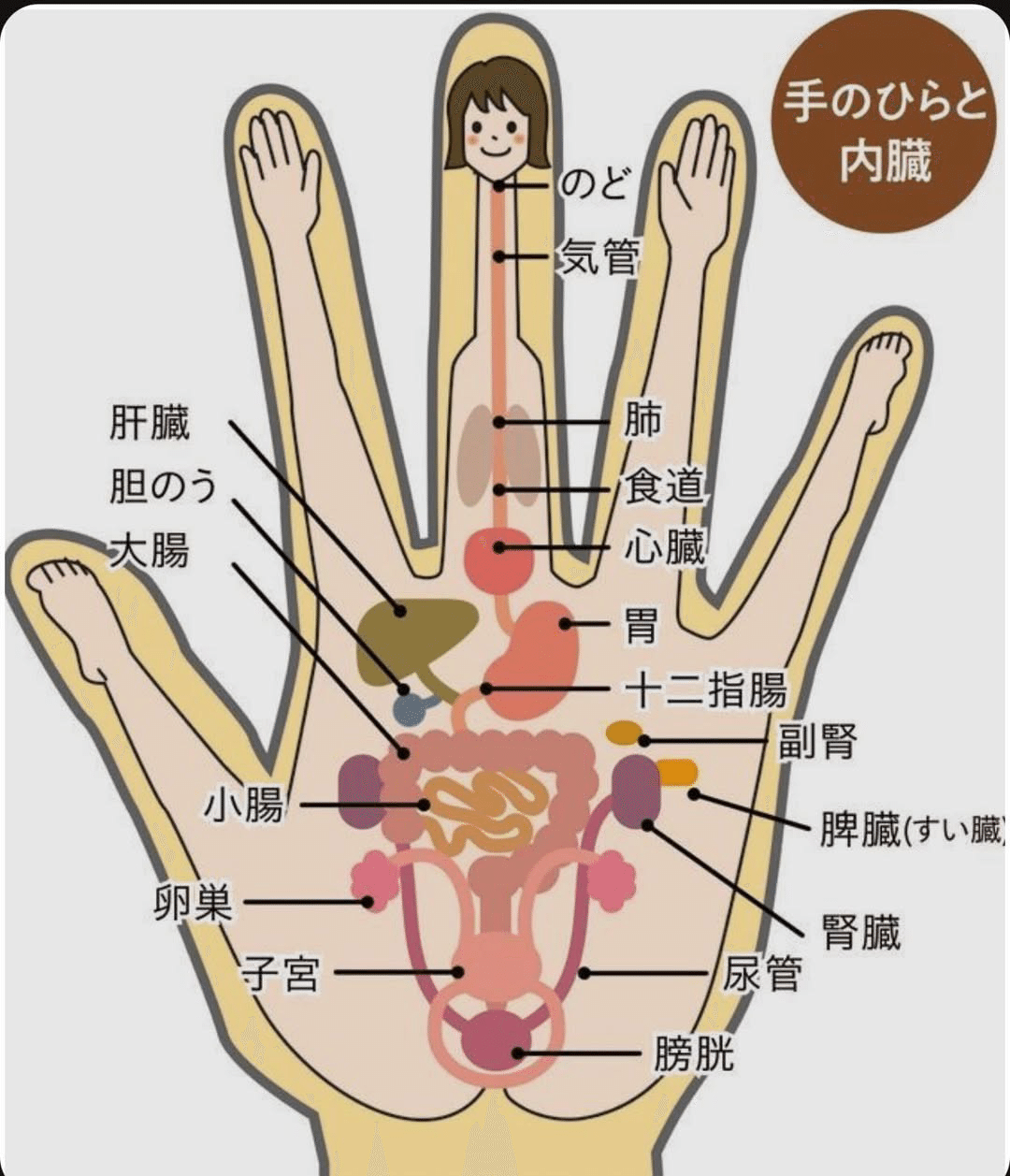 今日は｢天皇誕生日｣㊗️祝日です。明日は｢振替休日｣になります。令和になり色々と物騒がせな日々が続いています。世の中の流れが早く大きくなって来た感じがします。その激動の中でも平和であり続けて ...