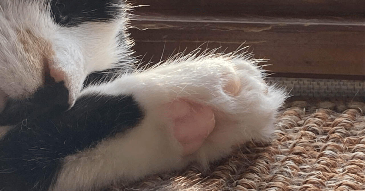 歴史を「書く」姿勢への共感｜Moosan