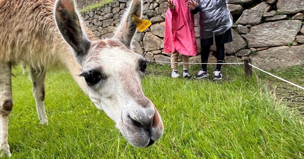 〈旅〉南米ボリビア・ペルー旅行 持ち物編｜warehachi