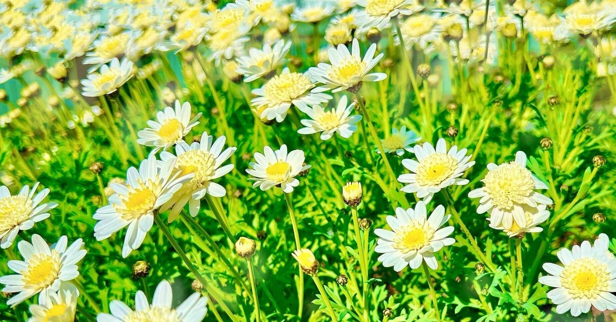 【詩】凡人｜ayano_leizei 冷泉あやの