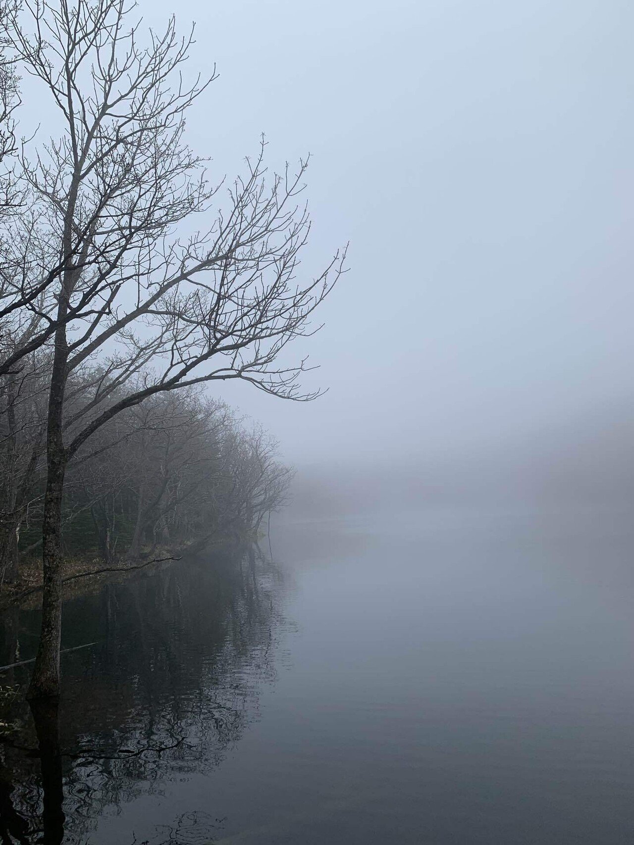 物事を曖昧にすること、それは解釈を変えて都合よく受け流すためには最高の手段。都合の良い時の解釈と悪い時の解釈を、如何に自分側でコントロールする事ができるかが鍵になる。そして多数派を自身の思考下 ...