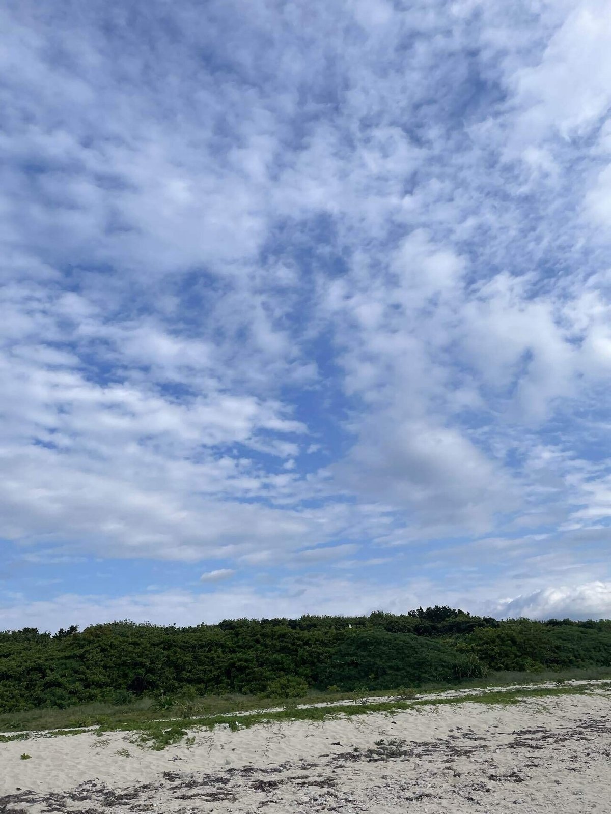 ここが私のアナザースカイ〜竹富島〜③｜spica spitz