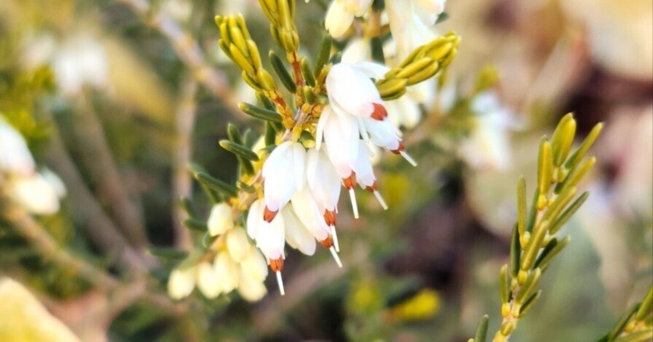 「高校生になりたい」vol.17｜minako