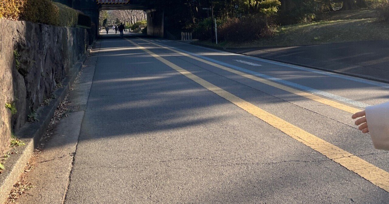 It doesn't matter, Hi Oppapi/小島よしおと甲本ヒロトは類義語｜アキラ