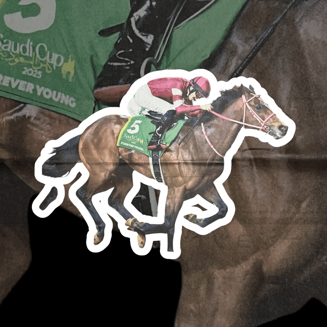 翔べ君よ大空の彼方へ 9-⑳ 未来永劫｜→AKIRARIKA←