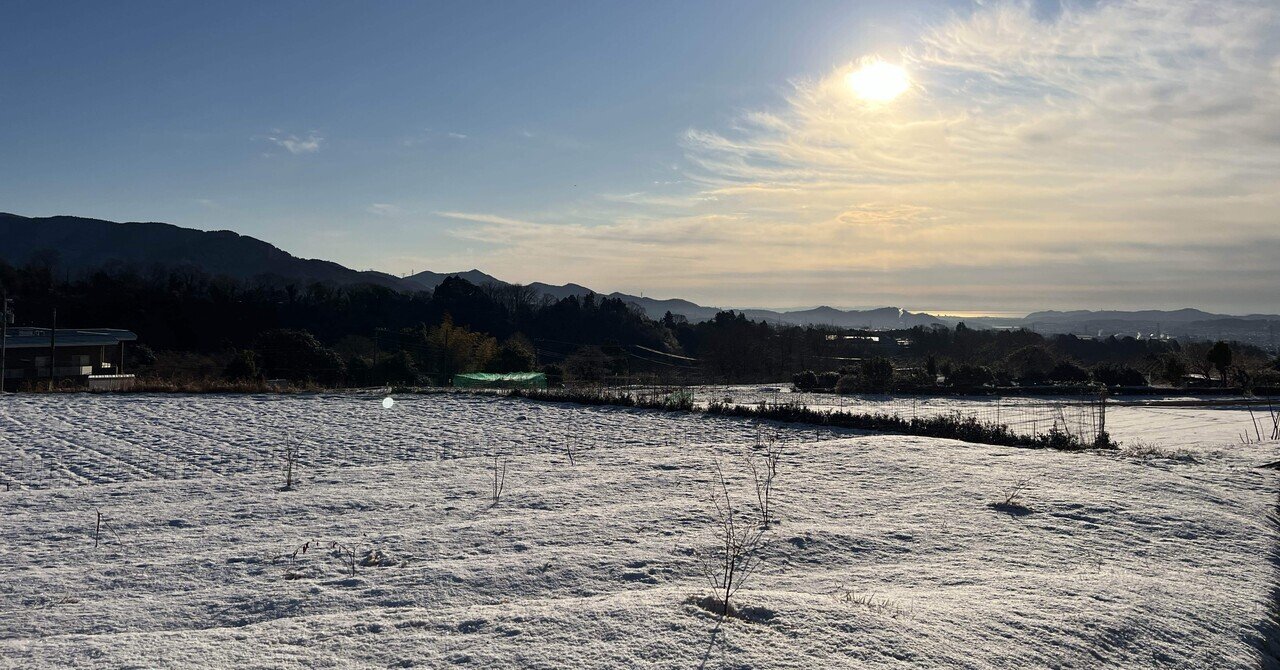 DAY 38 積もった〜｜jucon110