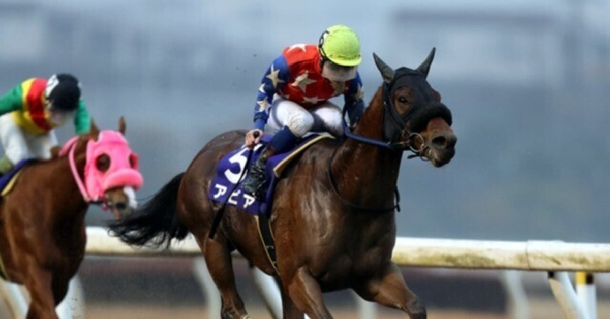 2/24(月)浦和9R 16:25発走 爆裂戦🔥｜単複の天ちゃん