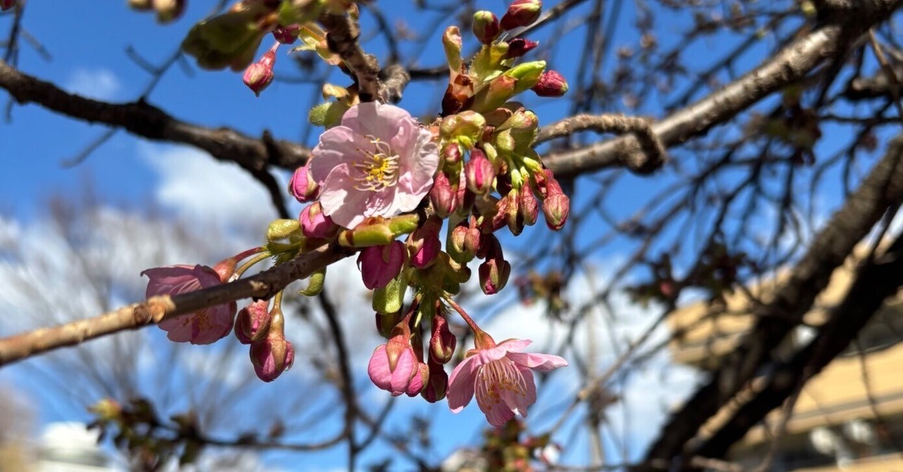 初めまして！｜n_shanti