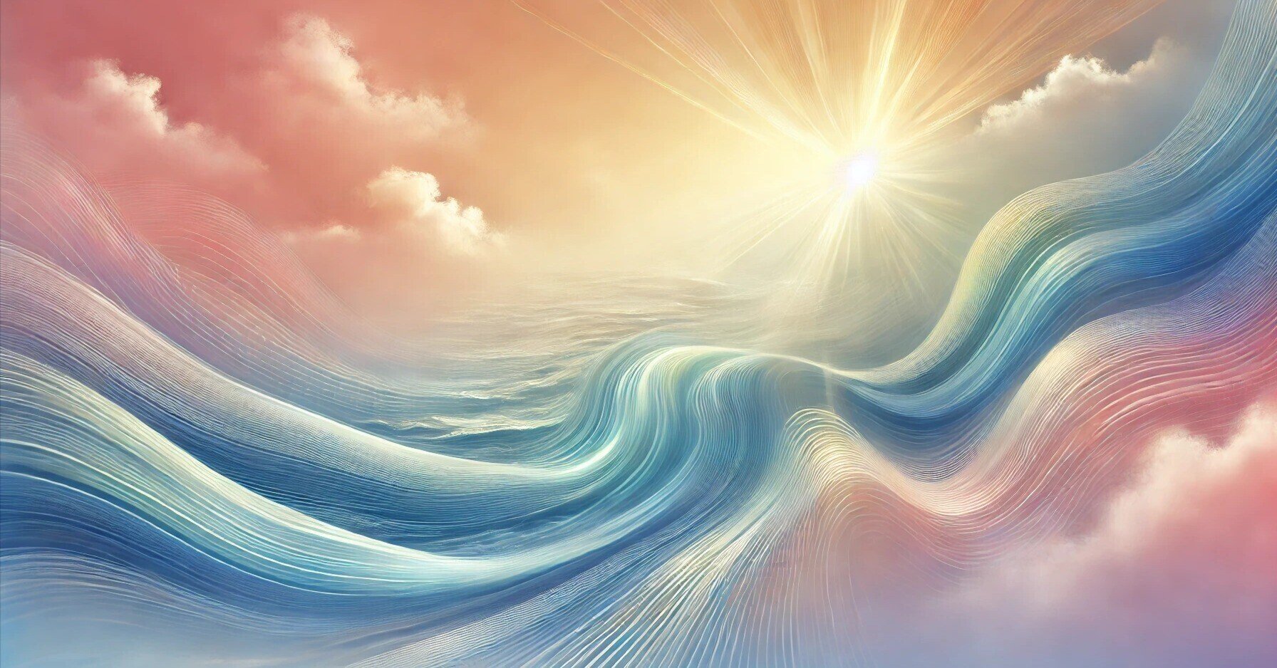 本多 幸子（SACHIKO HONDA）｜note