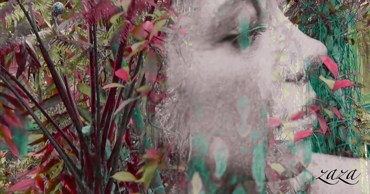 Shop here!please｜公式（H.P) BizDev：Aquira ＆カメラマンアキラ🖊️： 写真家