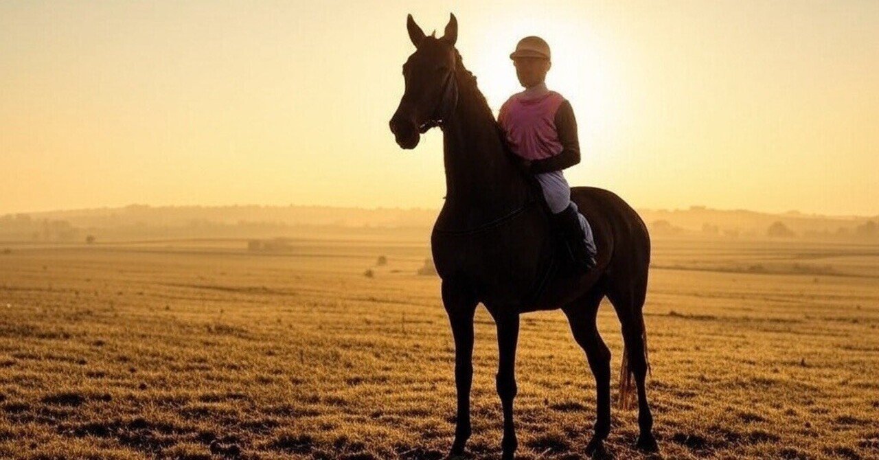 🌈浦和競馬🌈 2月25日火 1210〜|競馬マスター無料軸馬推奨