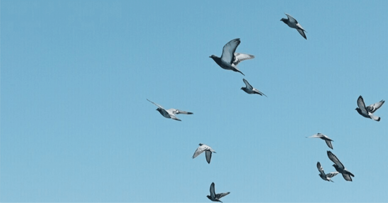 幸福論｜佐藤咲祐 / Shosuke Sato