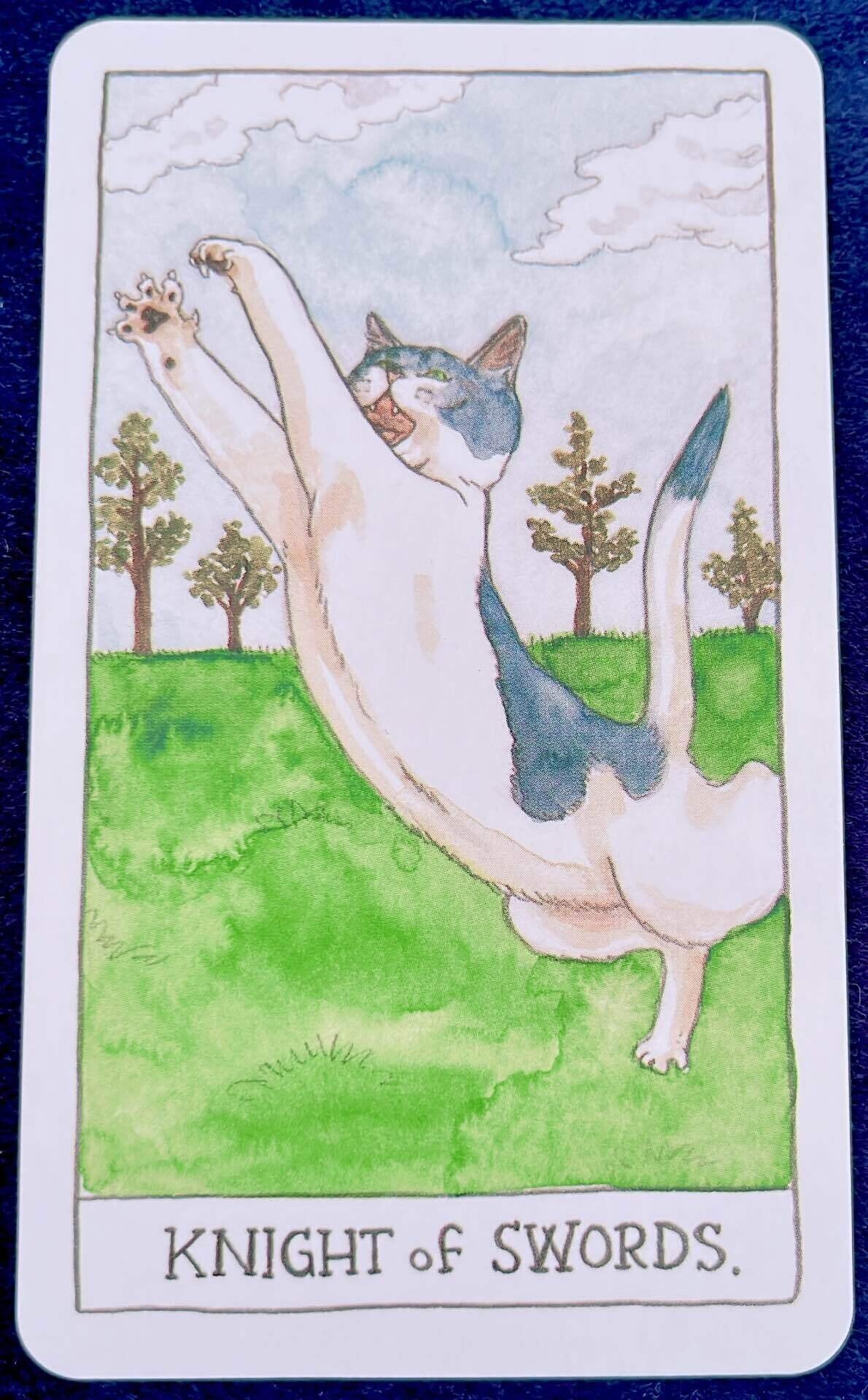 【みゆ企画】タロットリーディングをお届けします💚春永睦月さん・かこさん・riraさんへ｜みゆ💕あなたにきゅん♡をお届け⭐