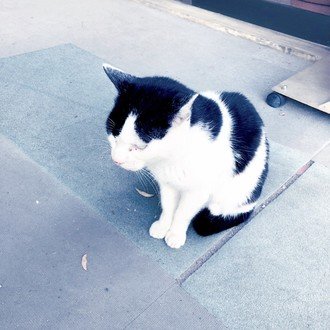 001 問題意識について｜Mariko Ishida