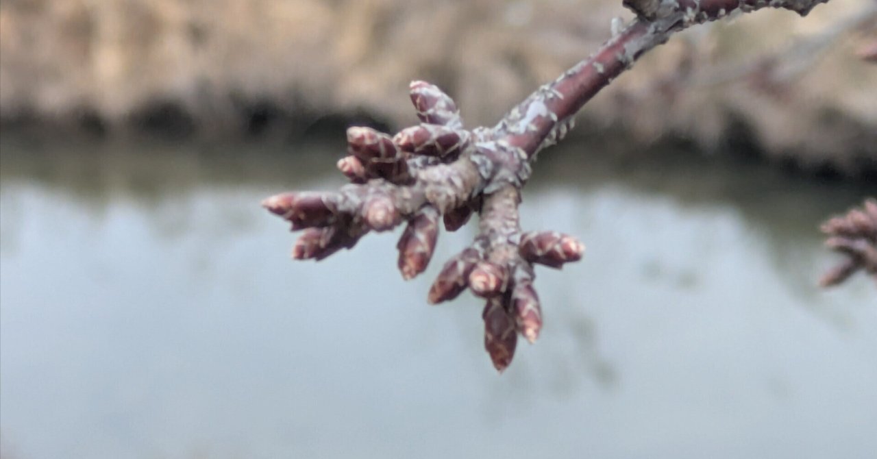 第3巻歌番号451番歌 作者 大伴旅人｜ichiro70