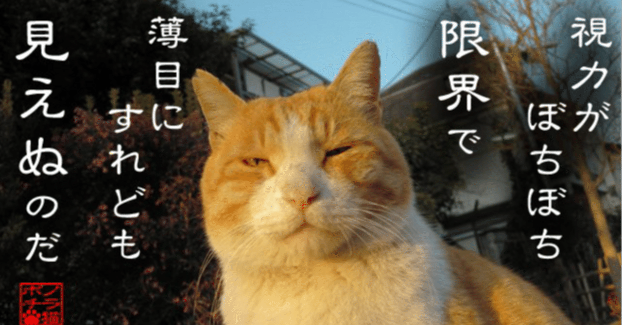 something wrong｜雀ゴロNOB氏のJUNK STORY