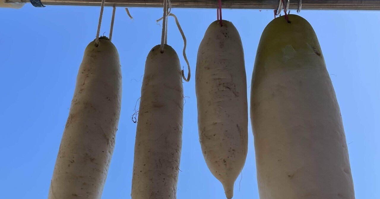 干し大根にハマった2025年冬｜bapel