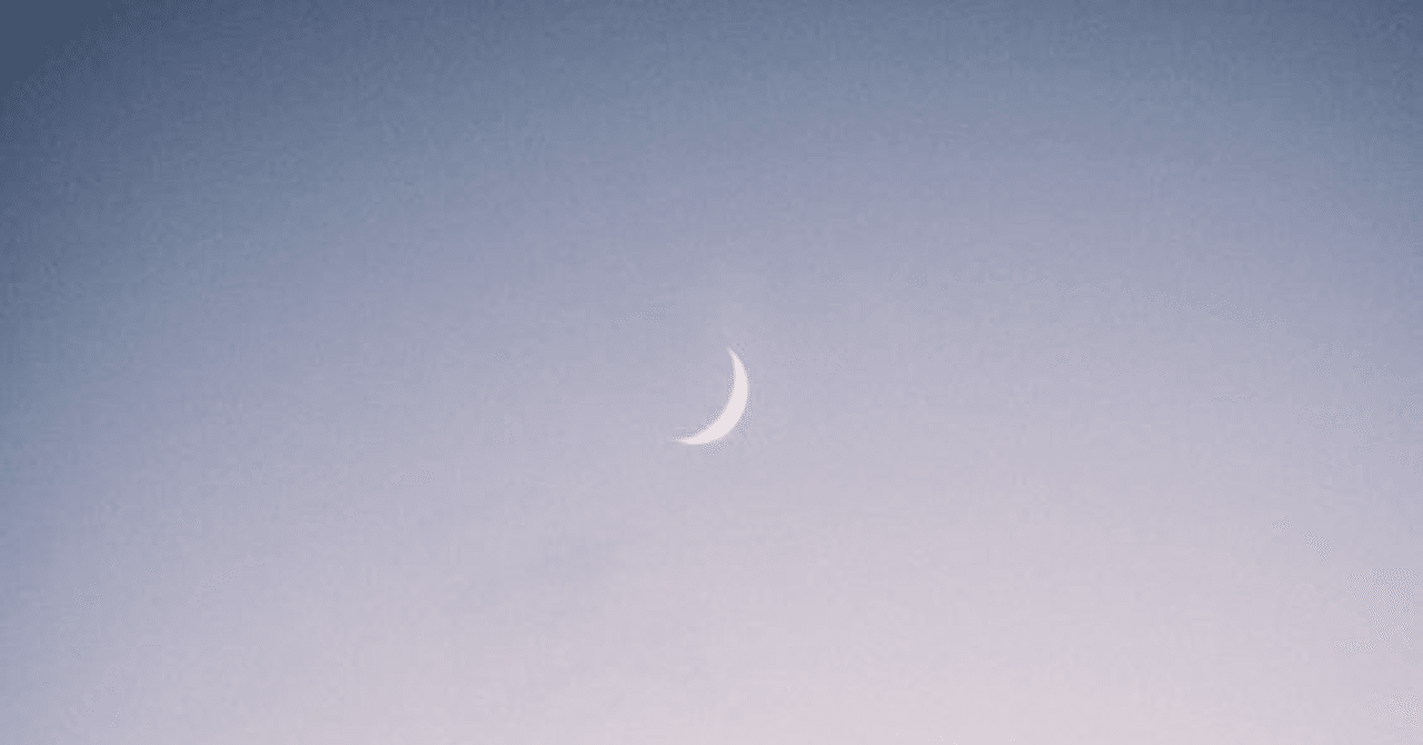 月のような人｜Manarose