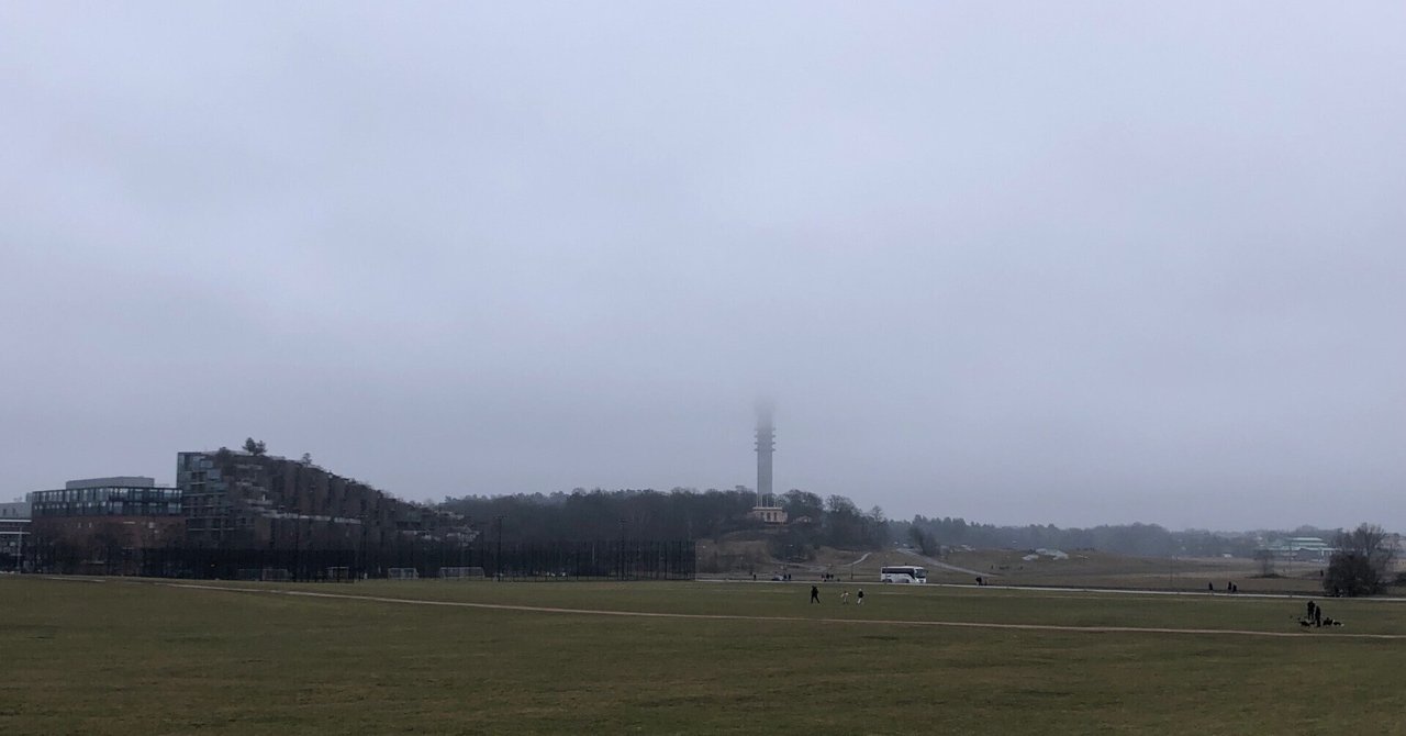 やわらかい朝｜shiori_san