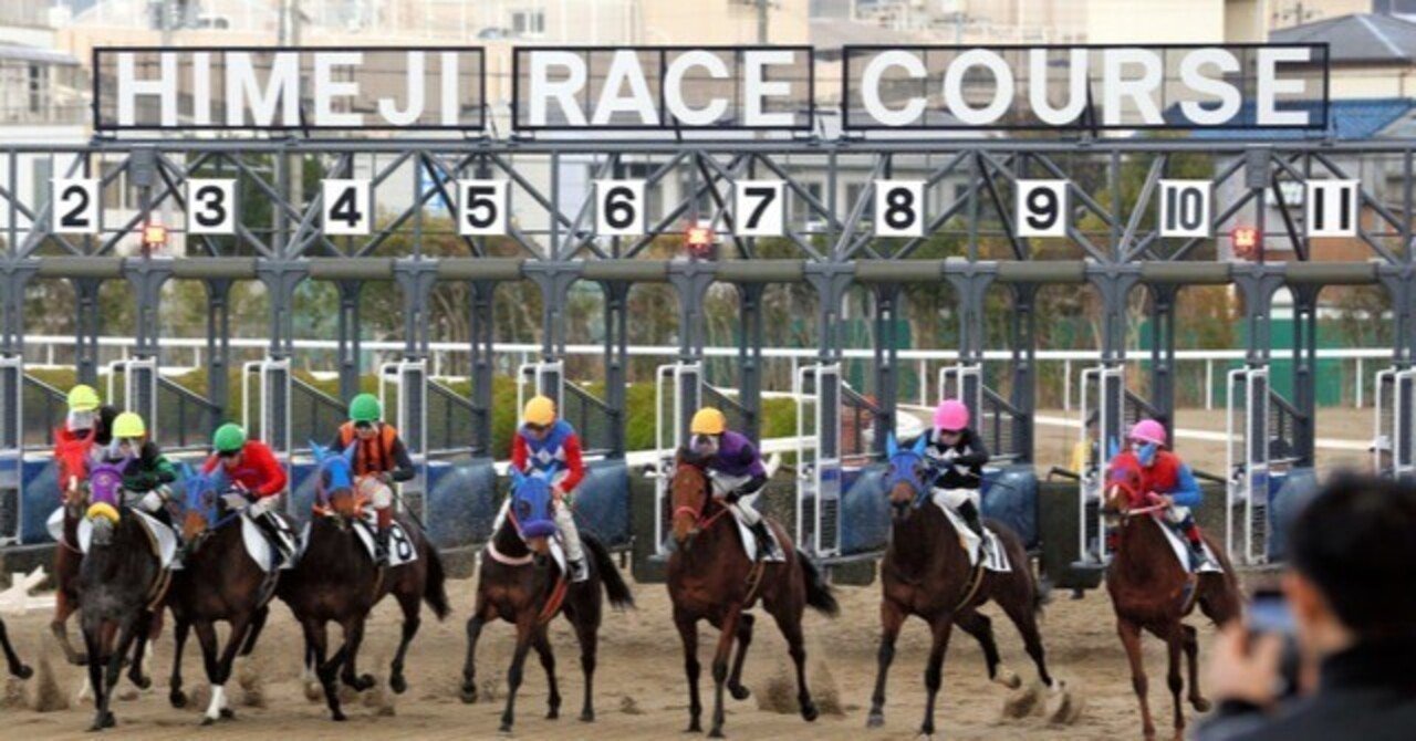 姫路競馬【🔥👊🏇激熱穴馬勝負🕳️勝負レース🏇👊】【1r】c3二（発走時刻1045）｜さやだま