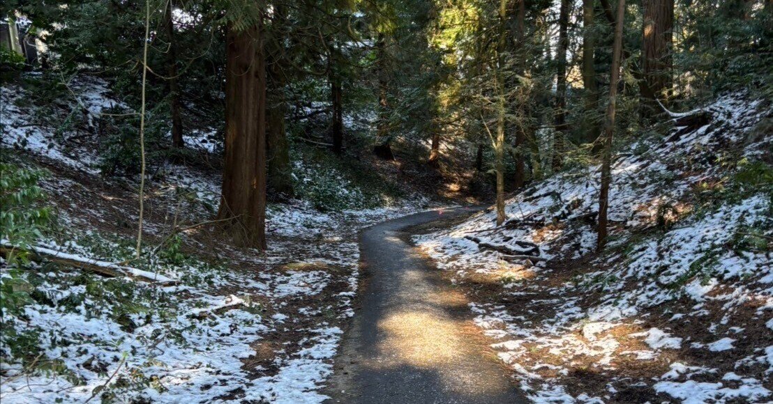 at_sally_world｜note