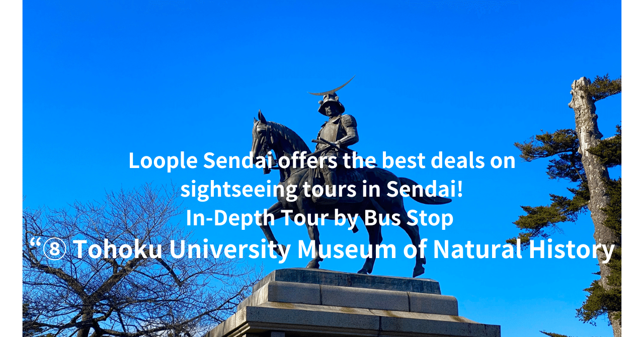 Loople Sendai offers the best deals on sightseeing tours in Sendai! In-Depth Tour by Bus Stop “⑧ ...