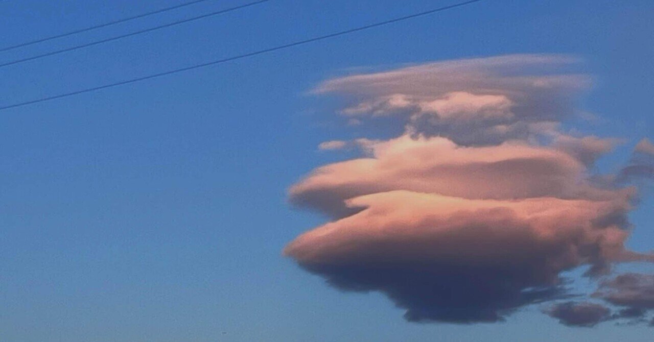 みとれる｜Master Kevin