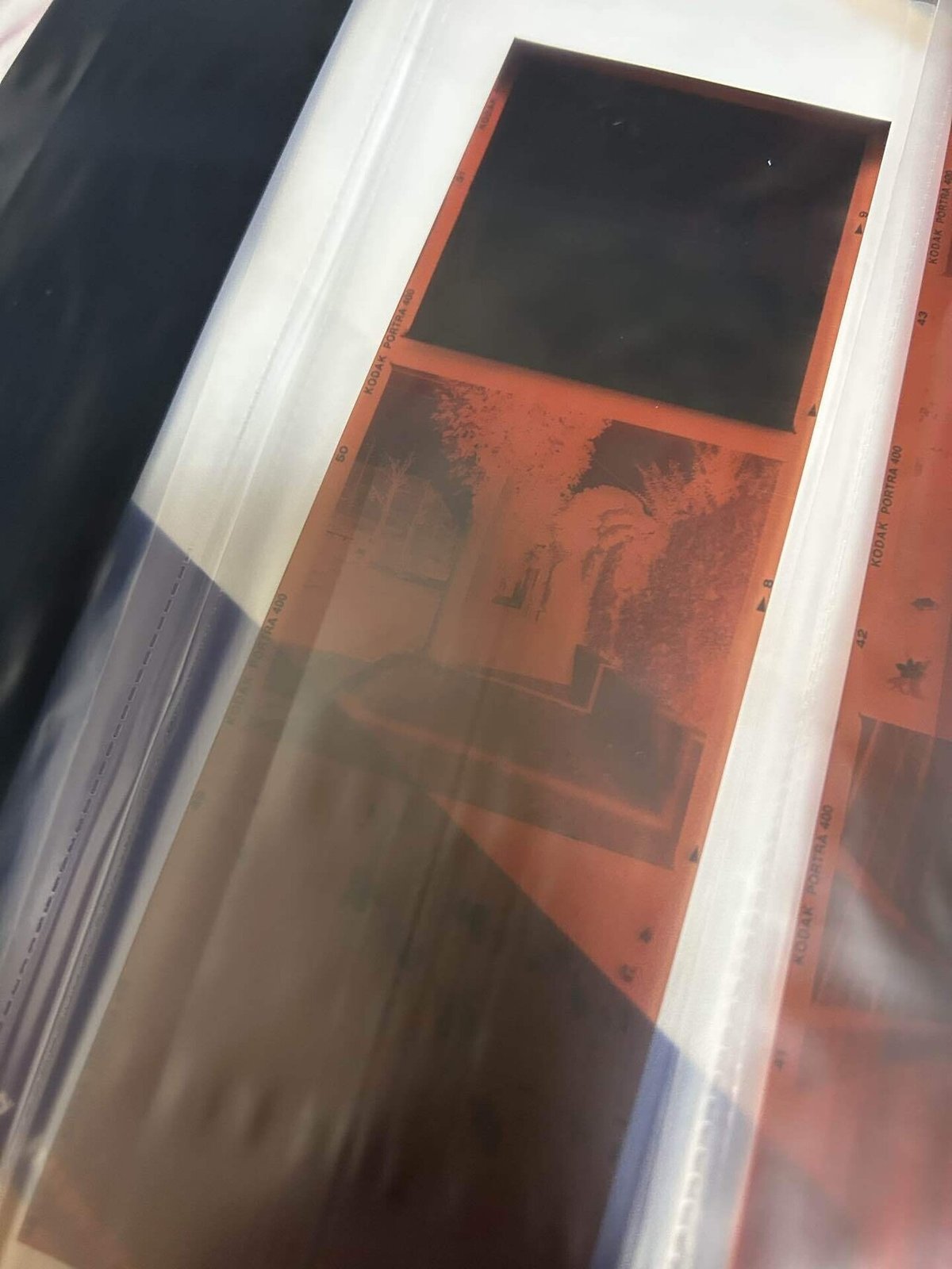 【つぶやき】 中判カメラっていいよな｜licid_aoyama