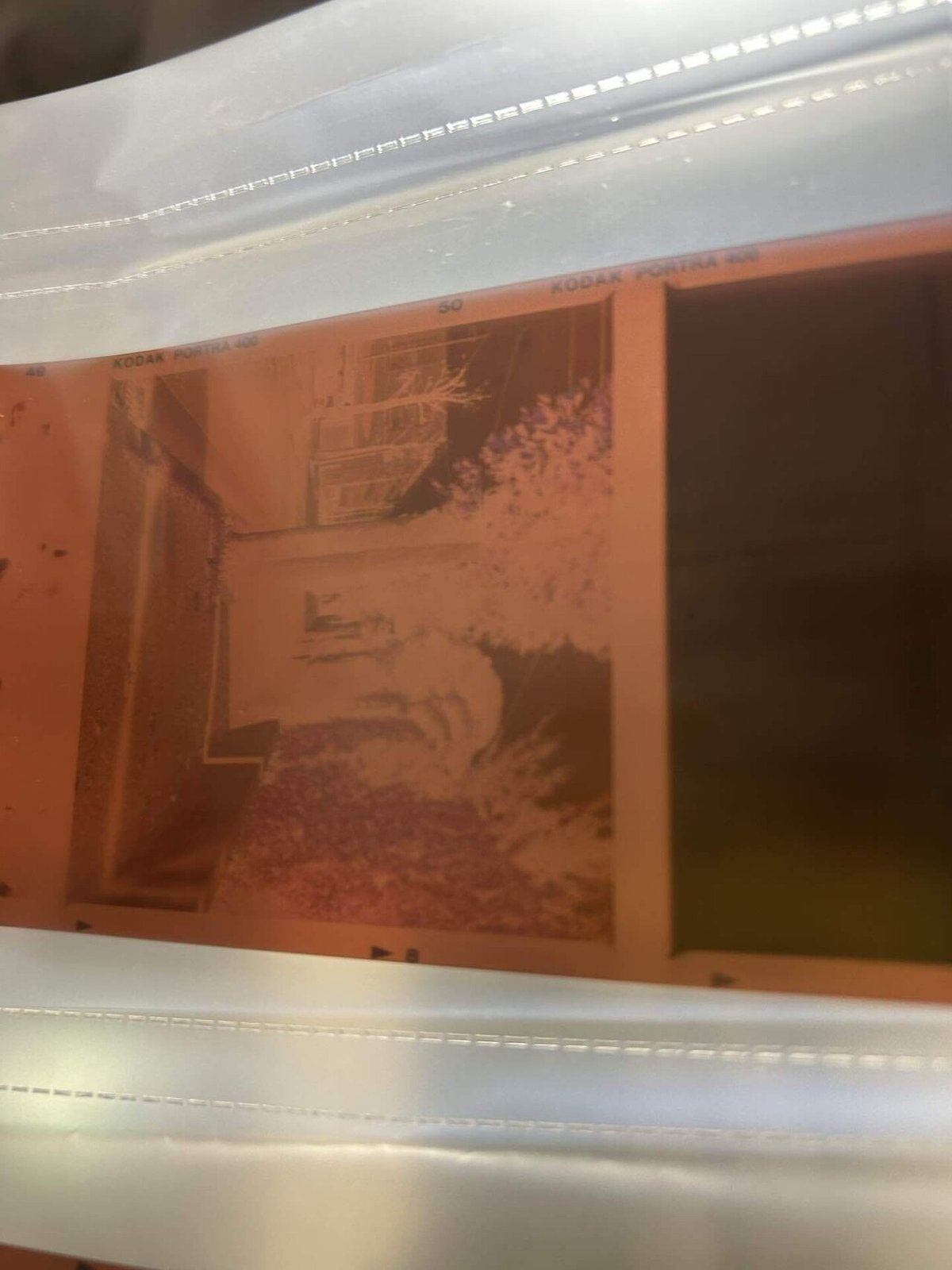 【つぶやき】 中判カメラっていいよな｜licid_aoyama