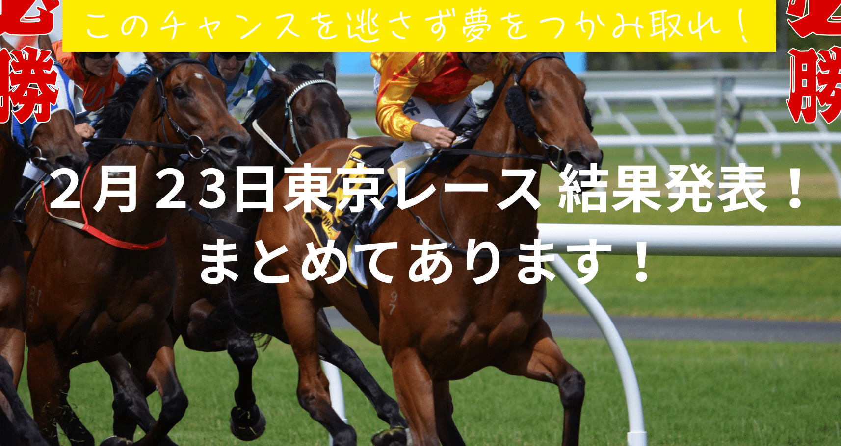 AI競馬分析チーム2月23日JRA東京レース結果発表まとめ！｜AI競馬分析｜note