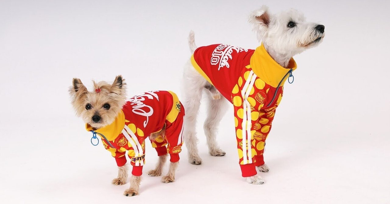 2025S/Sはじまります｜CHICK MATCH