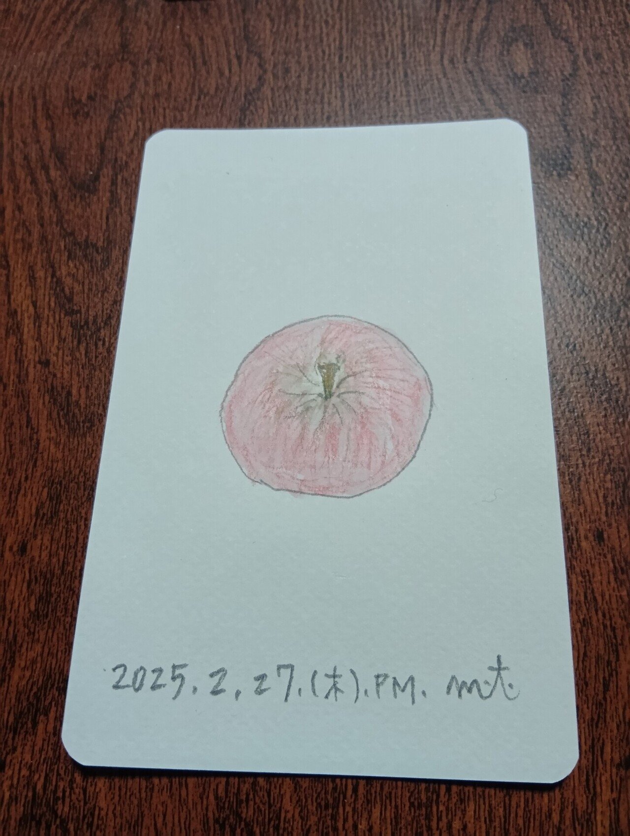 miyukitty日記2025NO19｜miyukitty