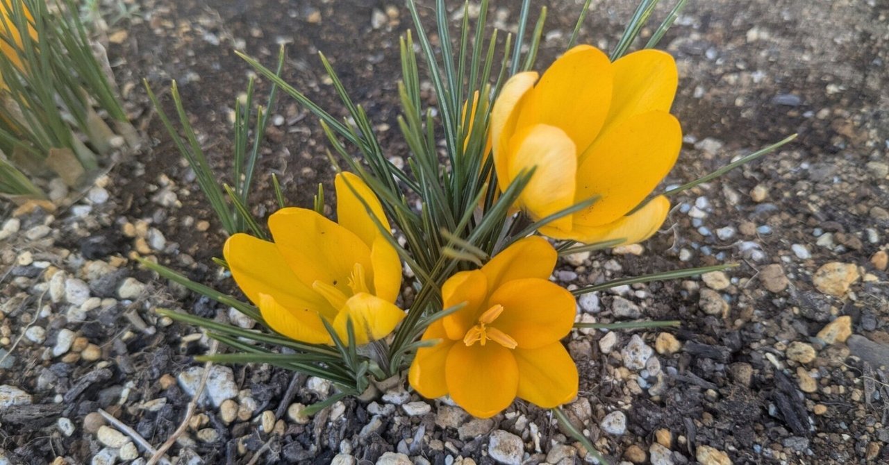 坂戸日記 2025.02.27｜Makoto Okada