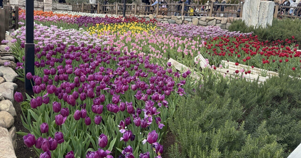 マイノリティ｜IKUMI