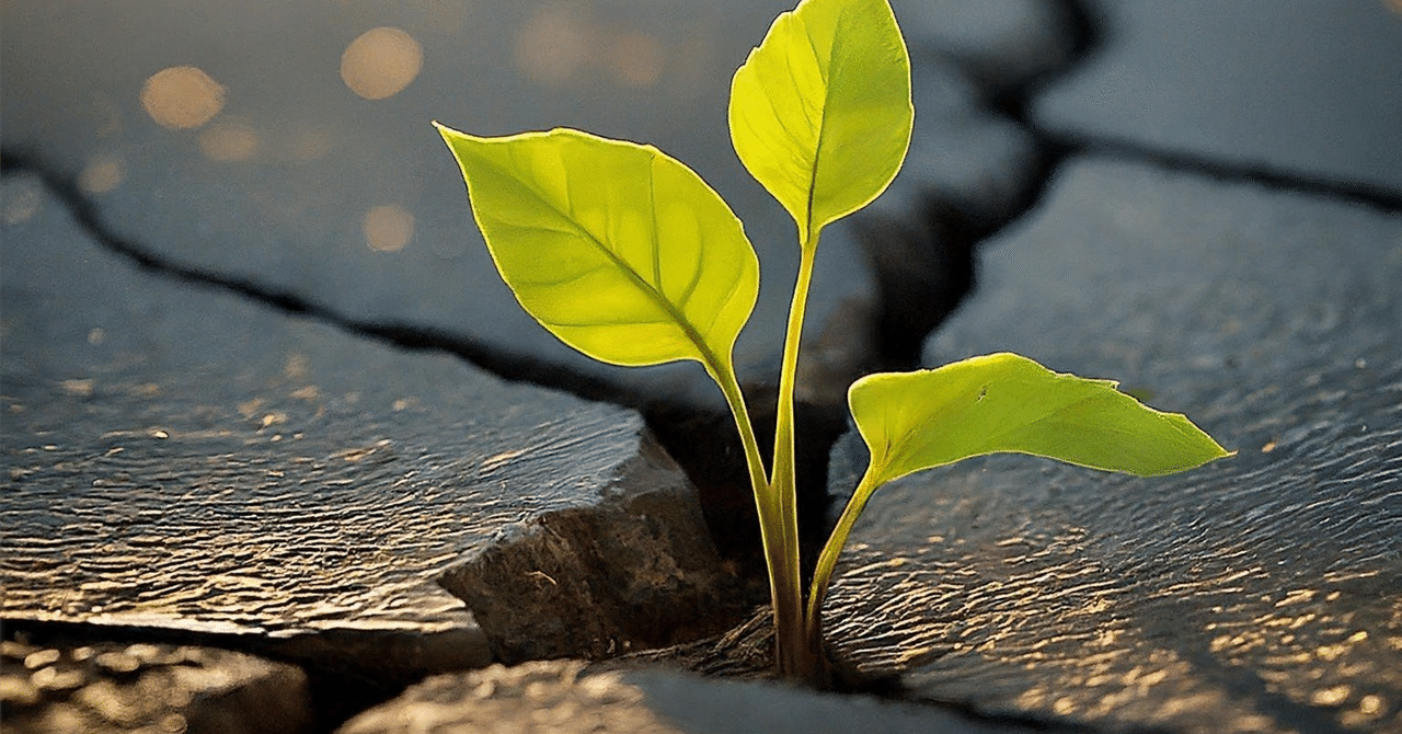 生きる力になるもの｜Iro(いろ)ちゃん『Wish ～夢を信じて』