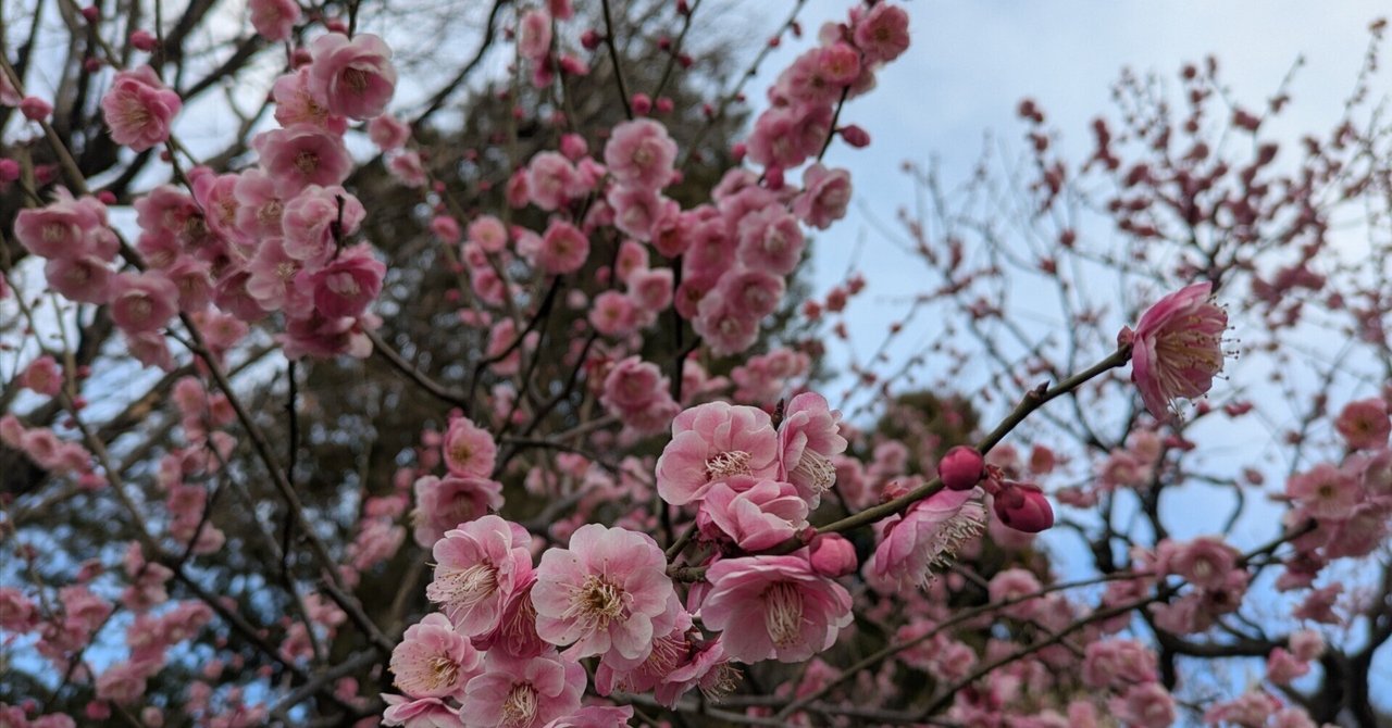 R07-02-28 特化不意打ちで確一｜伊織