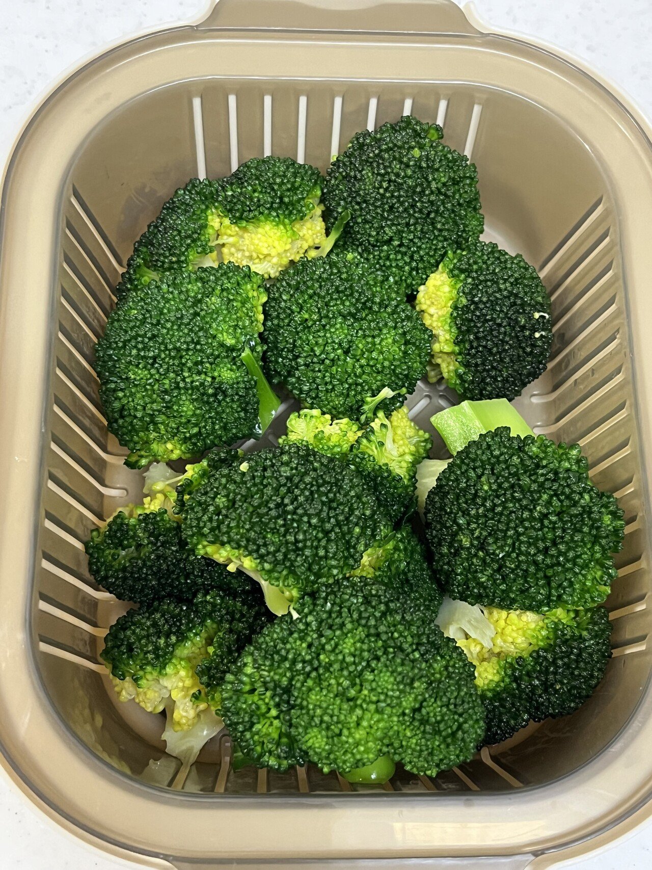 収穫したてのブロッコリーを塩茹で🥦 一口、パクつ うまい！｜ca-ptain@農ある暮らし