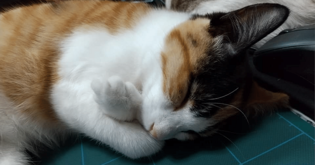 詩人、皇帝になる～曹丕見参！～｜Moosan