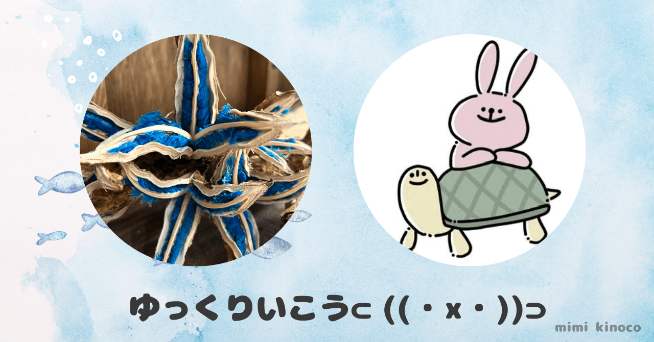 娘は小さい時から『かめ🐢』が好きだw いろんな生き物いる中で… なぜ？カメなんだろう？ ずっと…不思議に思ってた… 5歳になったいまも やっぱり カメ🐢が好きであるw 理由を聞いてみたら 『足 ...