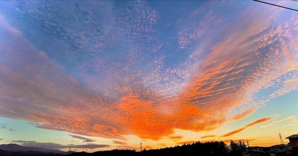 Kuroko_MS369_HouoH｜note