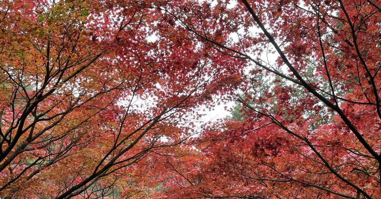 根本的に人は変わらない｜Pon Suke