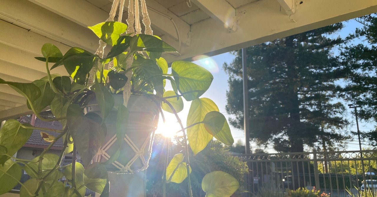 常識はずれの行動が大正解だったら、直感を信じることは怖くない｜yasugo-超熱血ママをやめて人生大逆転！-