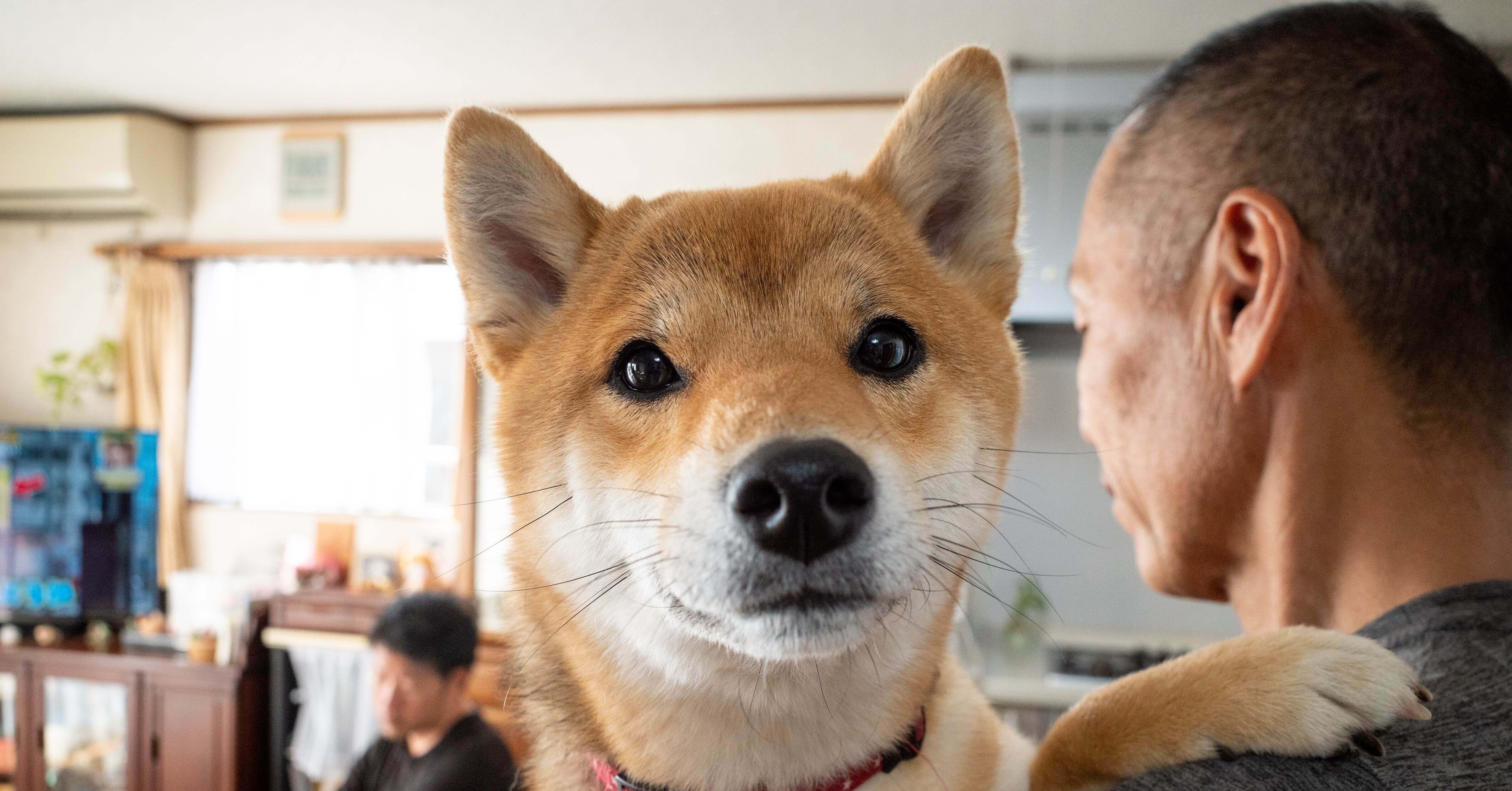 daily.snap.GR3｜note